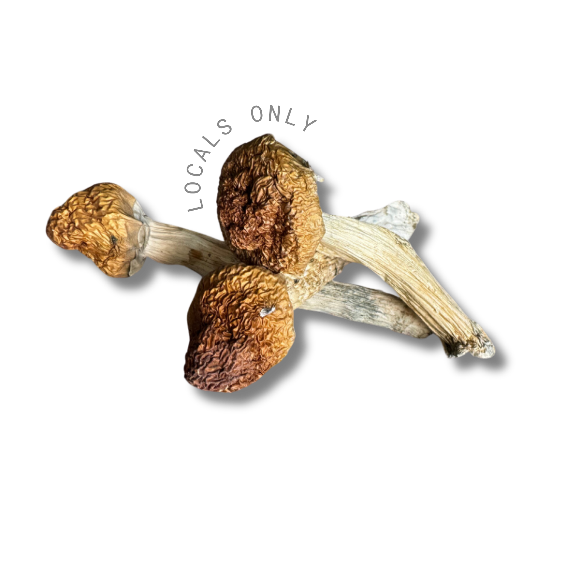 Flower Archives - Locals Only Delivery | Wellness + 1-71 Cannabis Gift